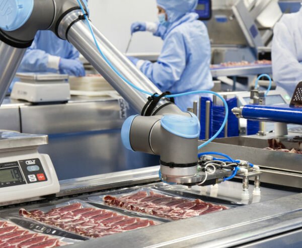 Cobots in the food industry | Collaborative robots